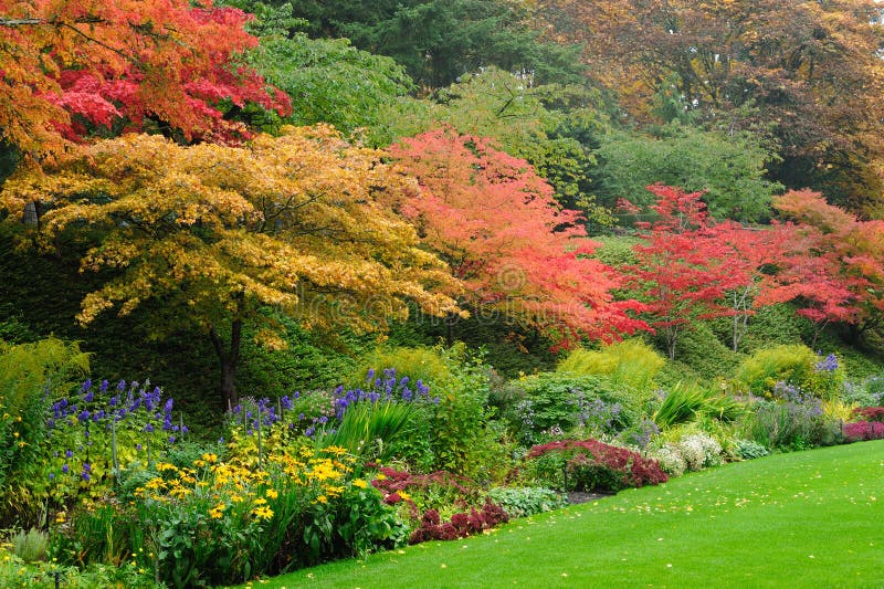 2,400+ Autumn tree colors Free Stock Photos - StockFreeImages