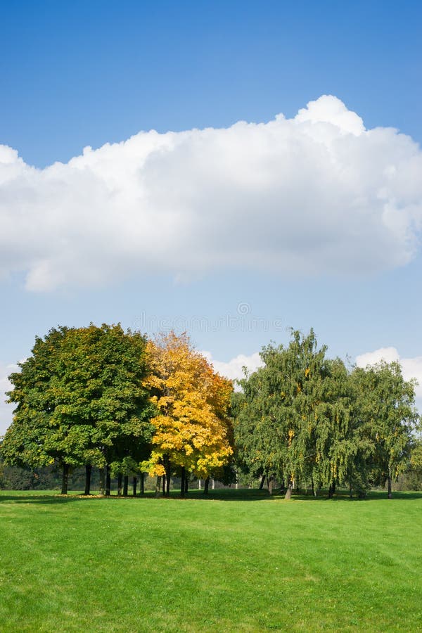 Autumn Trees on a Green Meadow Stock Image - Image of organic, season ...