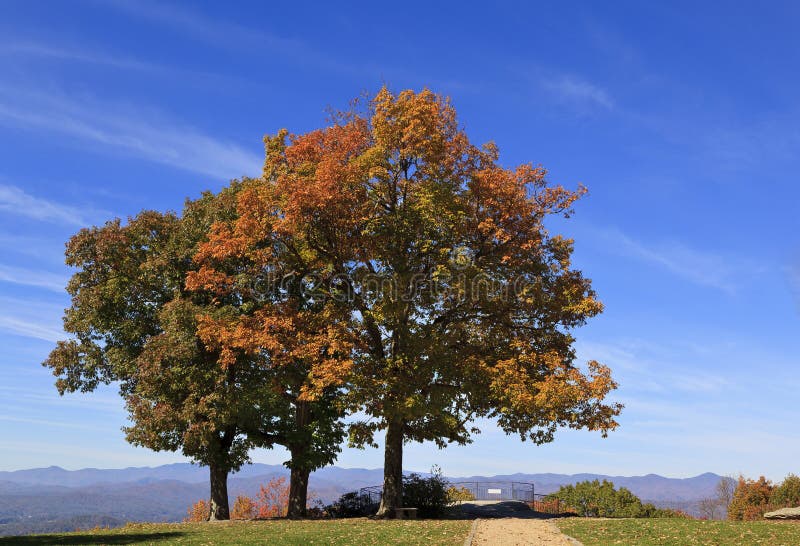 Autumn Trees stock photo. Image of landscape, scene, colorful - 61848424
