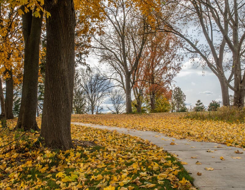 Autumn Trees and Leaves on Curving Path Stock Photo - Image of october ...