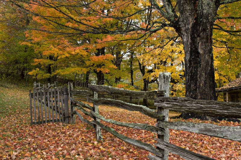 Autumn Trees, Leaves and Fence Stock Photo - Image of october, color ...