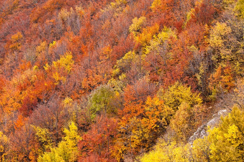 Autumn Trees on the Mountain Hills Stock Photo - Image of rocky, autumn ...