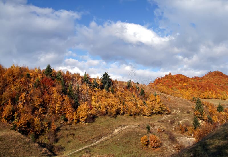 Autumn trees in mountains stock image. Image of colourful - 5787849