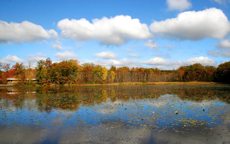 Autumn Trees Near Lake Side Stock Photo - Image of october, trees: 3515520