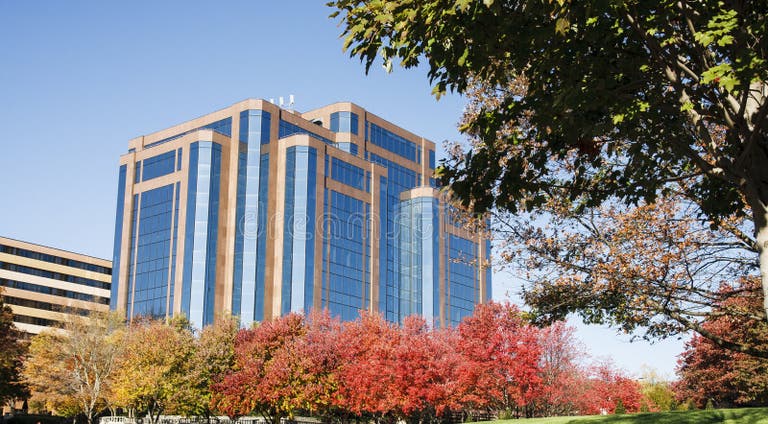 Autumn Trees by Office Building Stock Image - Image of fall, building ...
