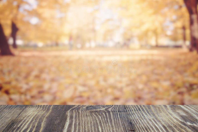 Autumn Trees Out of Focus, Natural Bokeh Background Stock Image - Image ...