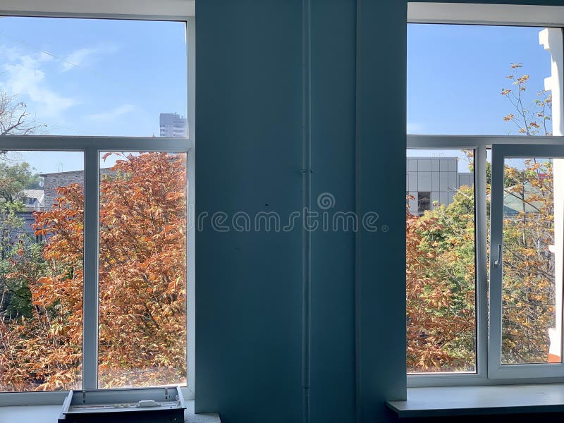Autumn Trees Outside the Window Stock Image - Image of outside ...