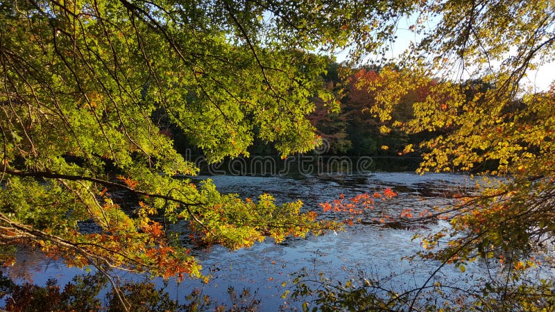 Autumn trees over river stock image. Image of foliage - 61090665