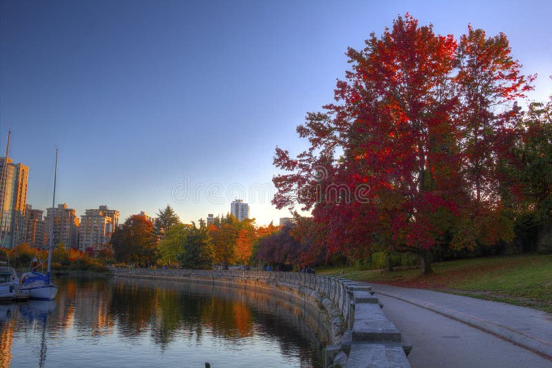 The Fall in Stanley Park, Vancouver. Stock Image - Image of stanley ...