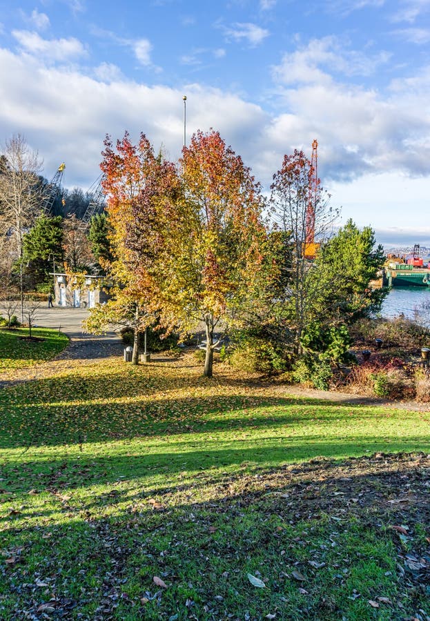 Autumn_Trees_At_Park stock photo. Image of fall, trees - 264892178