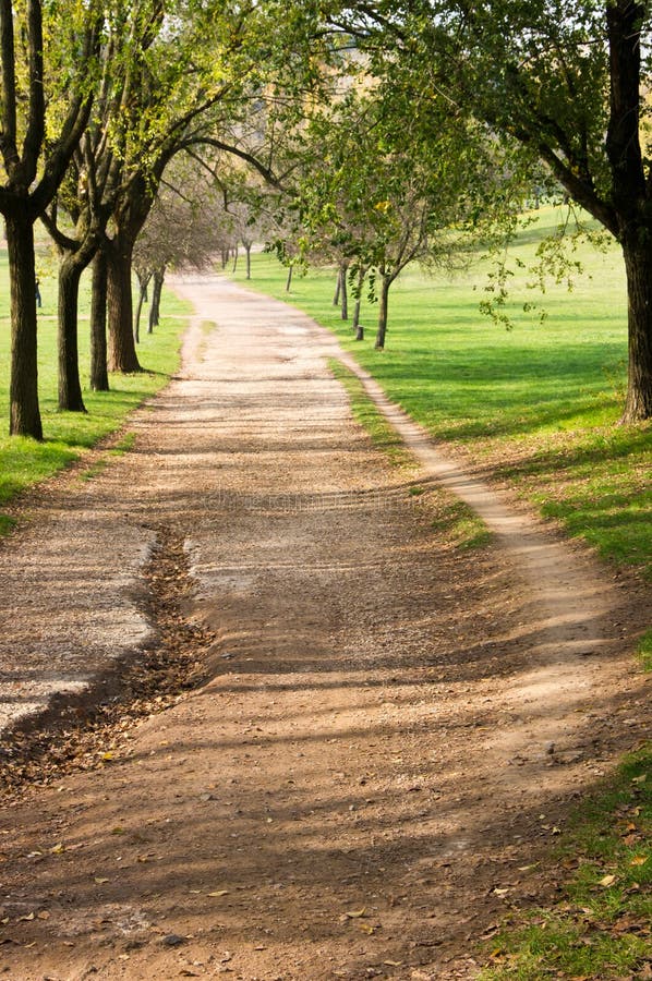 Autumn Trees and Path stock photo. Image of italy, forest - 22215642