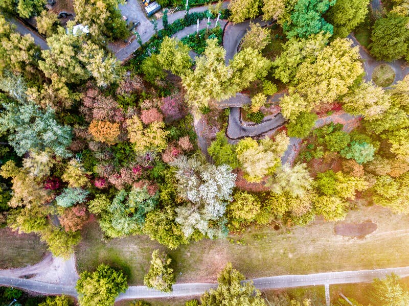 Autumn trees with path stock photo. Image of flight, aerial - 95331550