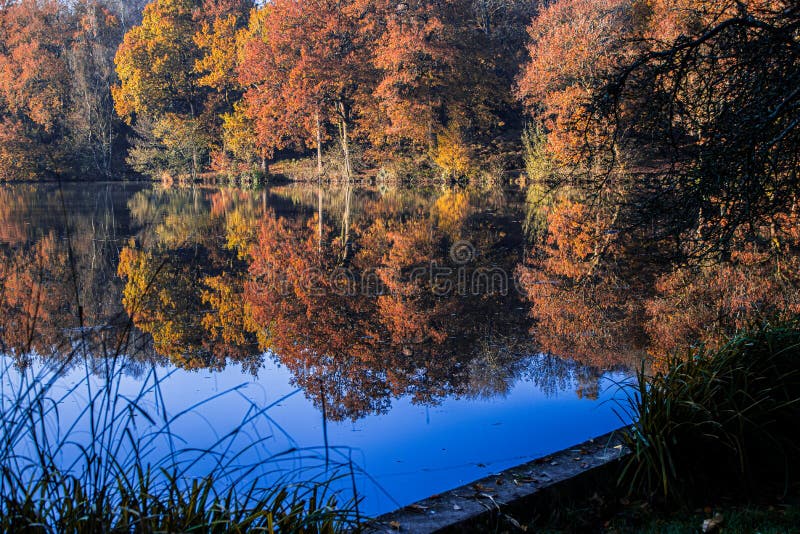 Autumn Trees Reflected in a Glass Lake Stock Photo - Image of calm ...