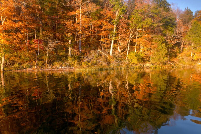 Autumn Trees Reflected in Lake Stock Photo - Image of fall, reflection ...