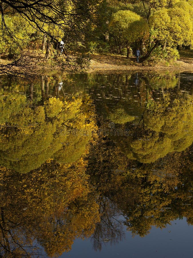 Autumn Trees Reflected on Lake Stock Image - Image of pond, reflects ...