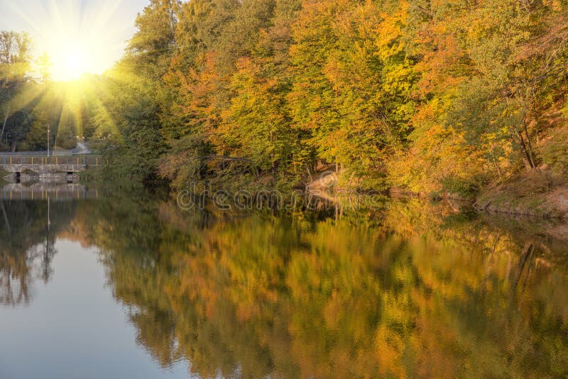 Autumn Trees are Reflected in the Lake Stock Photo - Image of mirror ...