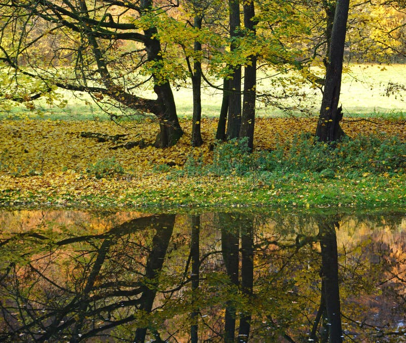 Autumn Trees Reflected in a River Stock Photo - Image of pond, autumn ...