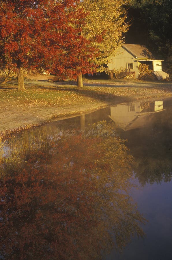 Trees Reflected in Water stock image. Image of wood, white - 14688903