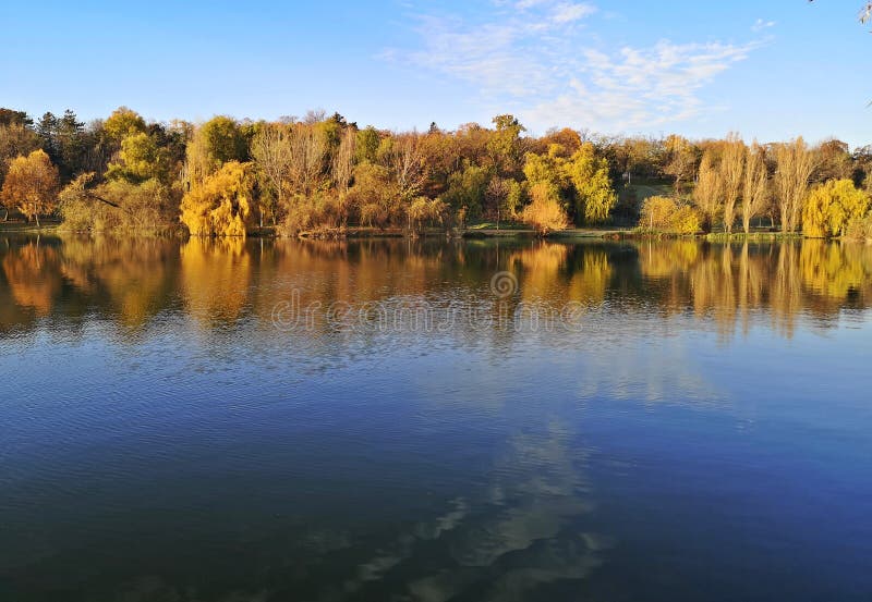 Autumn Trees Reflected in Water Stock Photo - Image of scenery, autumn ...