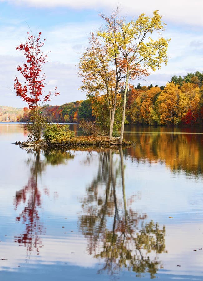Autumn Trees Reflecting in the Water Stock Photo - Image of serene ...