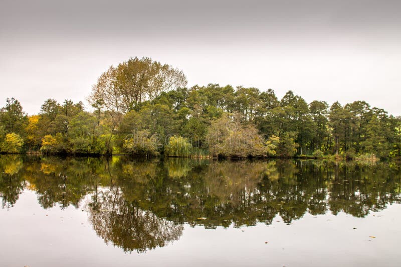 Autumn trees reflection stock image. Image of reflection - 79880949