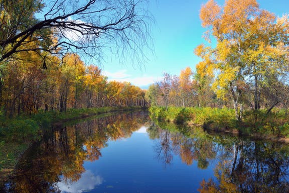 Autumn Trees and Reflection in Water Stock Image - Image of natural ...
