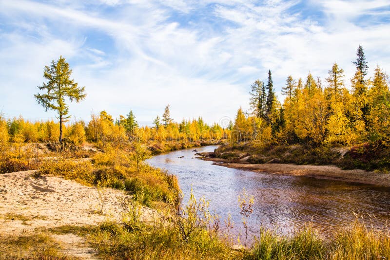 Autumn trees and the river stock image. Image of yellow - 34505867