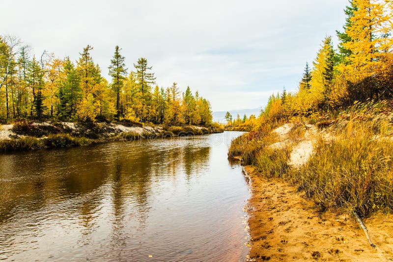 Autumn trees and the river stock photo. Image of gentle - 34505960