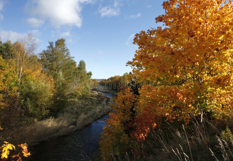 Autumn trees and river stock photo. Image of vivid, river - 96882992