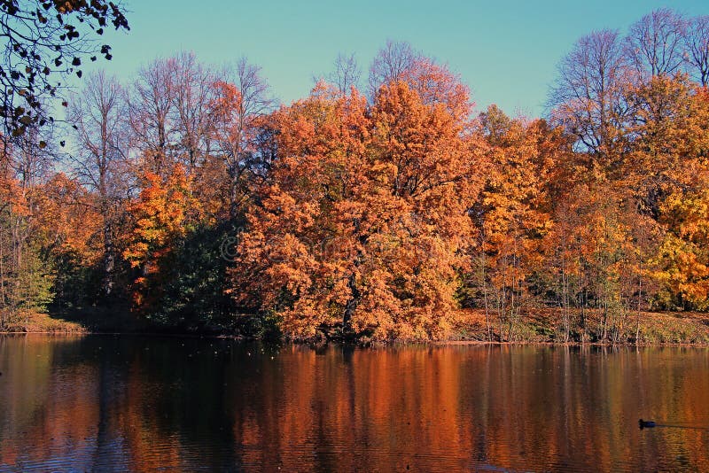 Autumn trees by the river stock image. Image of lake - 129241311