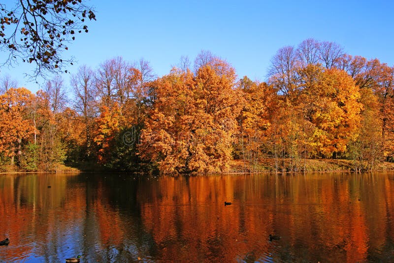 Autumn trees by the river stock photo. Image of forest - 129849448