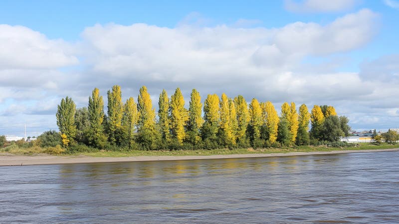 Autumn Trees Riverside, Industrial Background, Landscape Stock Image ...