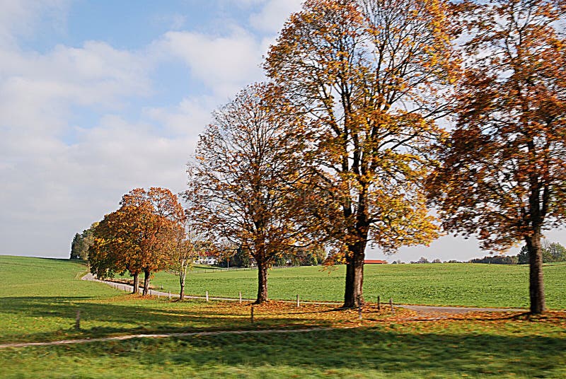 Autumn trees at the road stock image. Image of quiet, meadow - 3335731