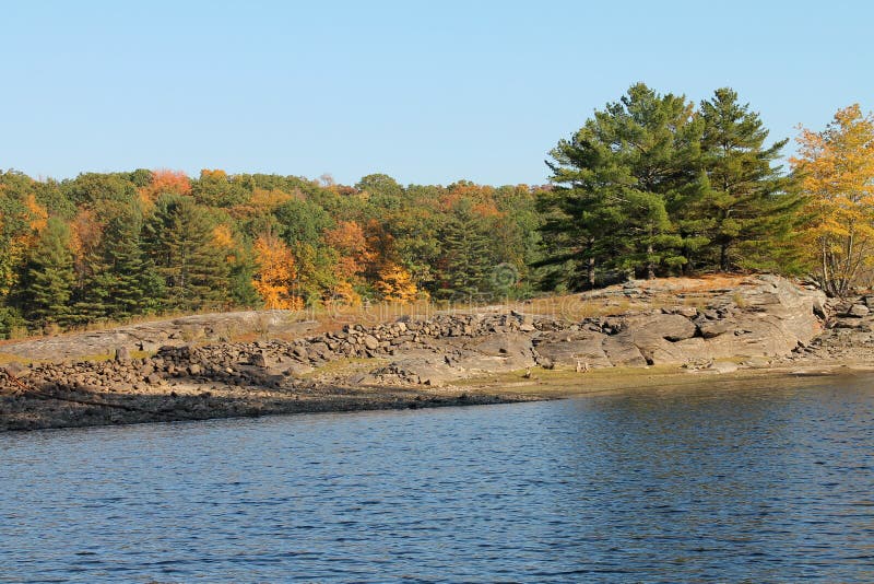 Trees on Rock Ledge stock photo. Image of exposed, high - 1785562
