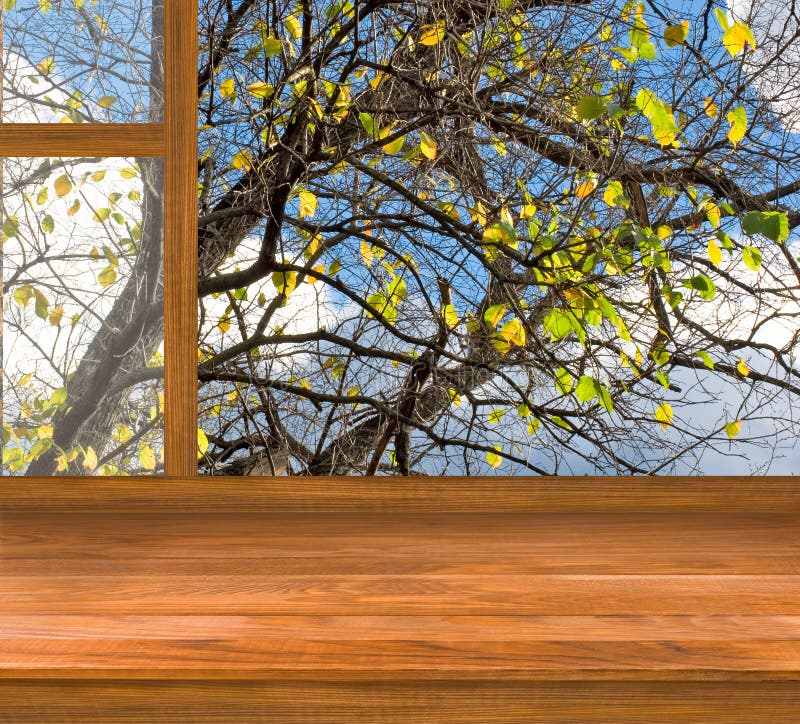 Autumn Trees Seen through View of Window Stock Image - Image of closeup ...