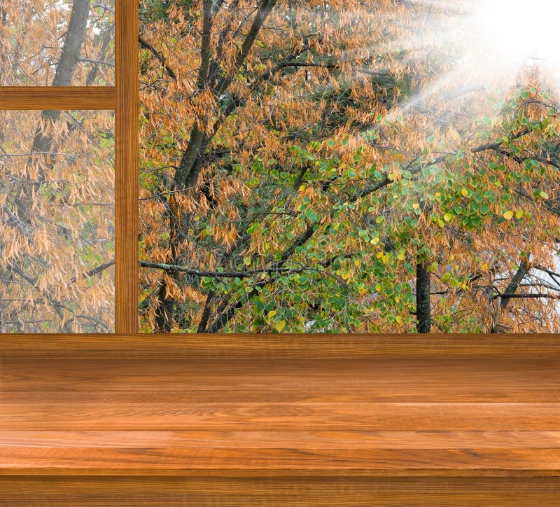 Autumn Trees Seen through View of Window Stock Photo - Image of autumn ...