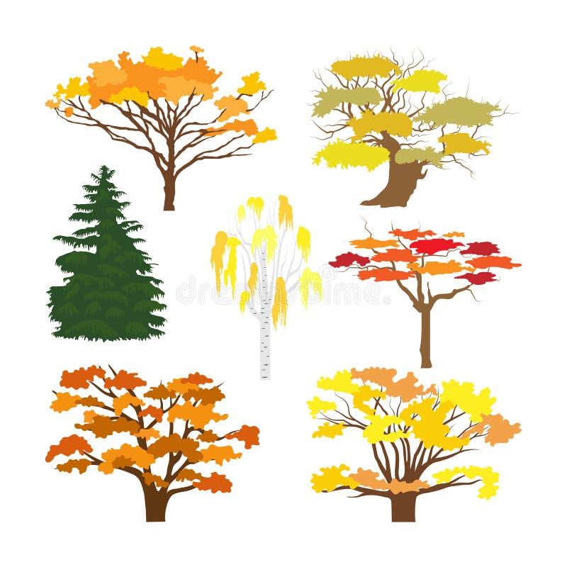 Collection Seven Trees Stock Illustrations – 24 Collection Seven Trees ...