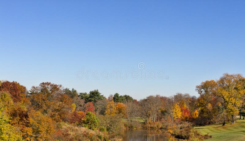 Autumn Trees and Sky stock image. Image of nature, autumn - 61878315