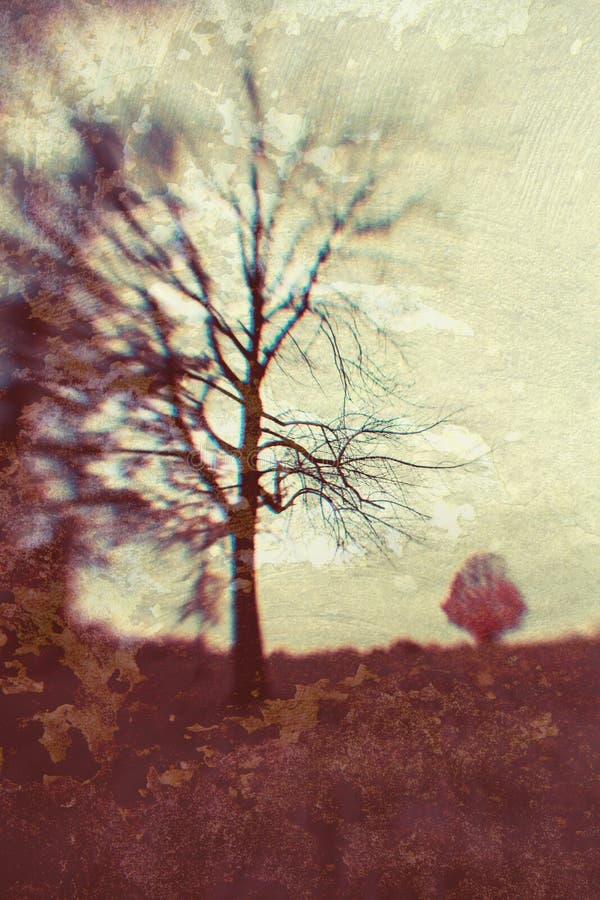 101 Fall Trees Overlay Stock Photos - Free & Royalty-Free Stock Photos ...