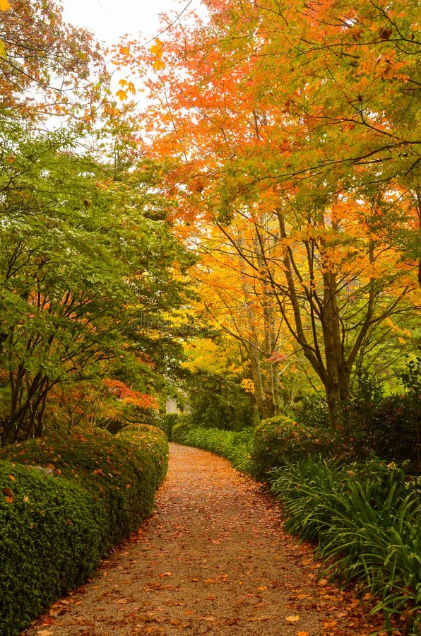 Autumn Trees beside a Walking Path Stock Image - Image of park ...