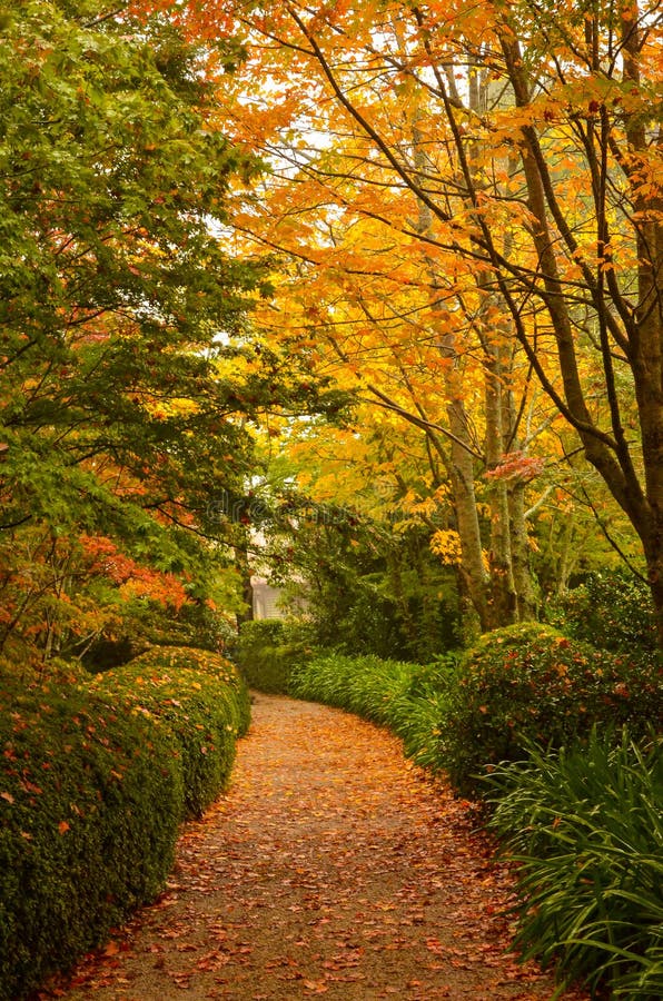 Autumn Trees beside a Walking Path Stock Image - Image of path, colors ...