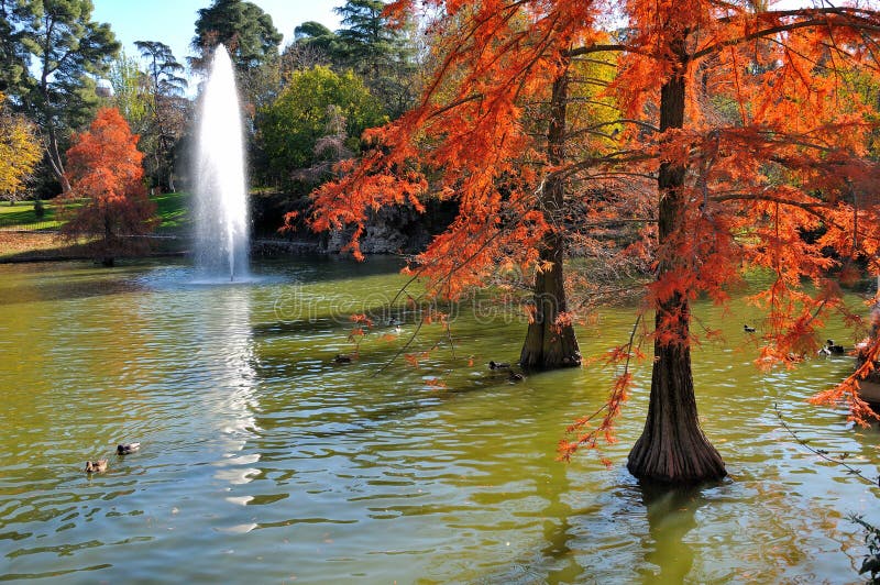 Autumn trees in water stock photo. Image of fountain - 65228096