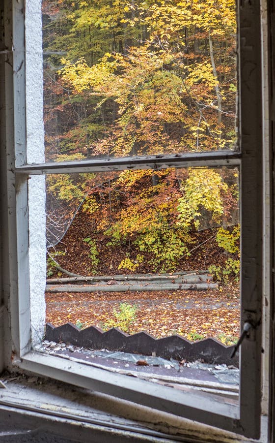 Autumn Trees through Window Stock Photo - Image of colorful, tree: 75660970
