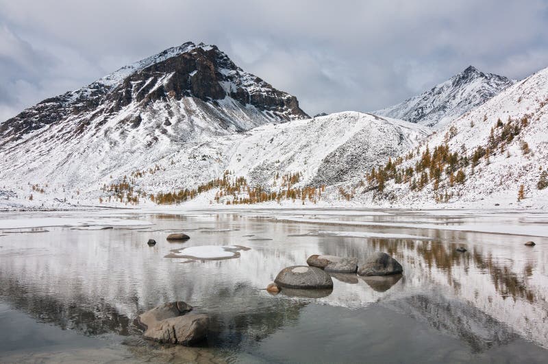 Autumn Tunkinskiy loach stock photo. Image of russia - 36023280