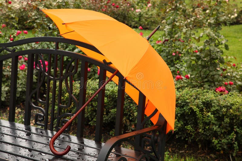 Autumn Umbrella on the Bench Stock Image - Image of spring, autumn ...