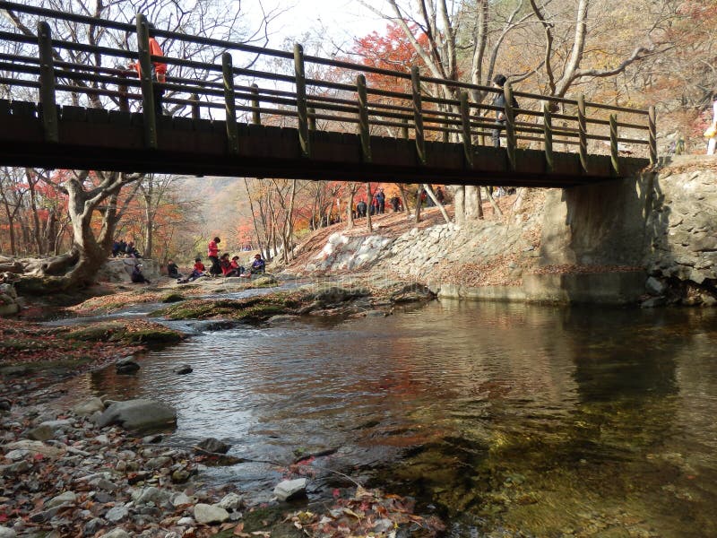 Autumn Under the Korean Bridge Stock Photo - Image of korean, bridge ...