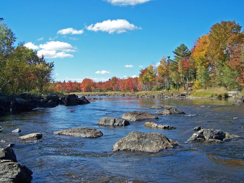 Autumn on the Union River stock photo. Image of river - 5011446