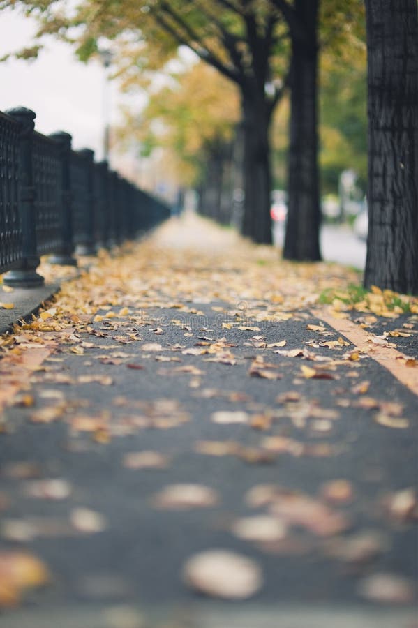 Autumn urban path stock photo. Image of city, outside - 16534408