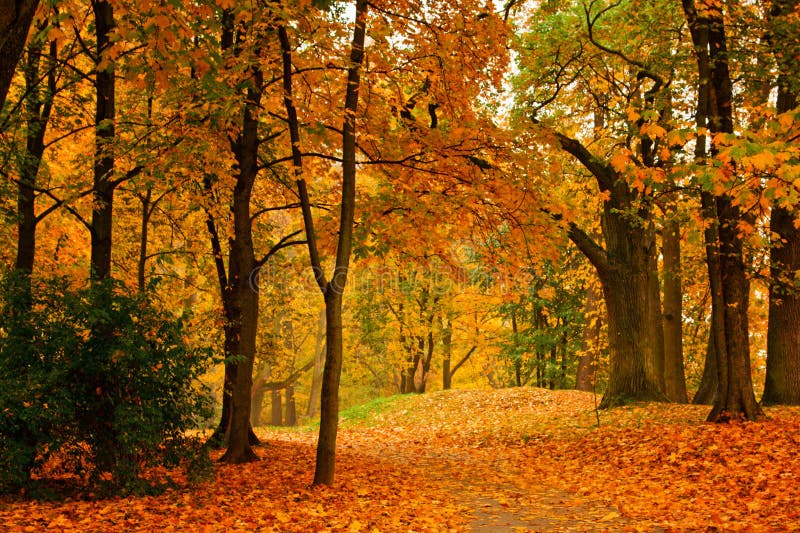 Autumn valley stock image. Image of outdoors, fall, park - 11340069