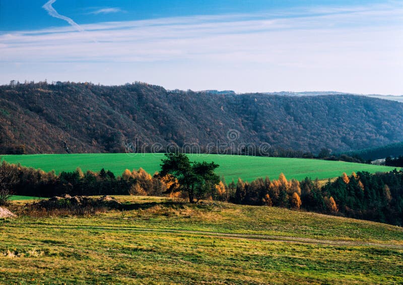 Autumn valley stock photo. Image of trees, leaves, sheet - 142961068